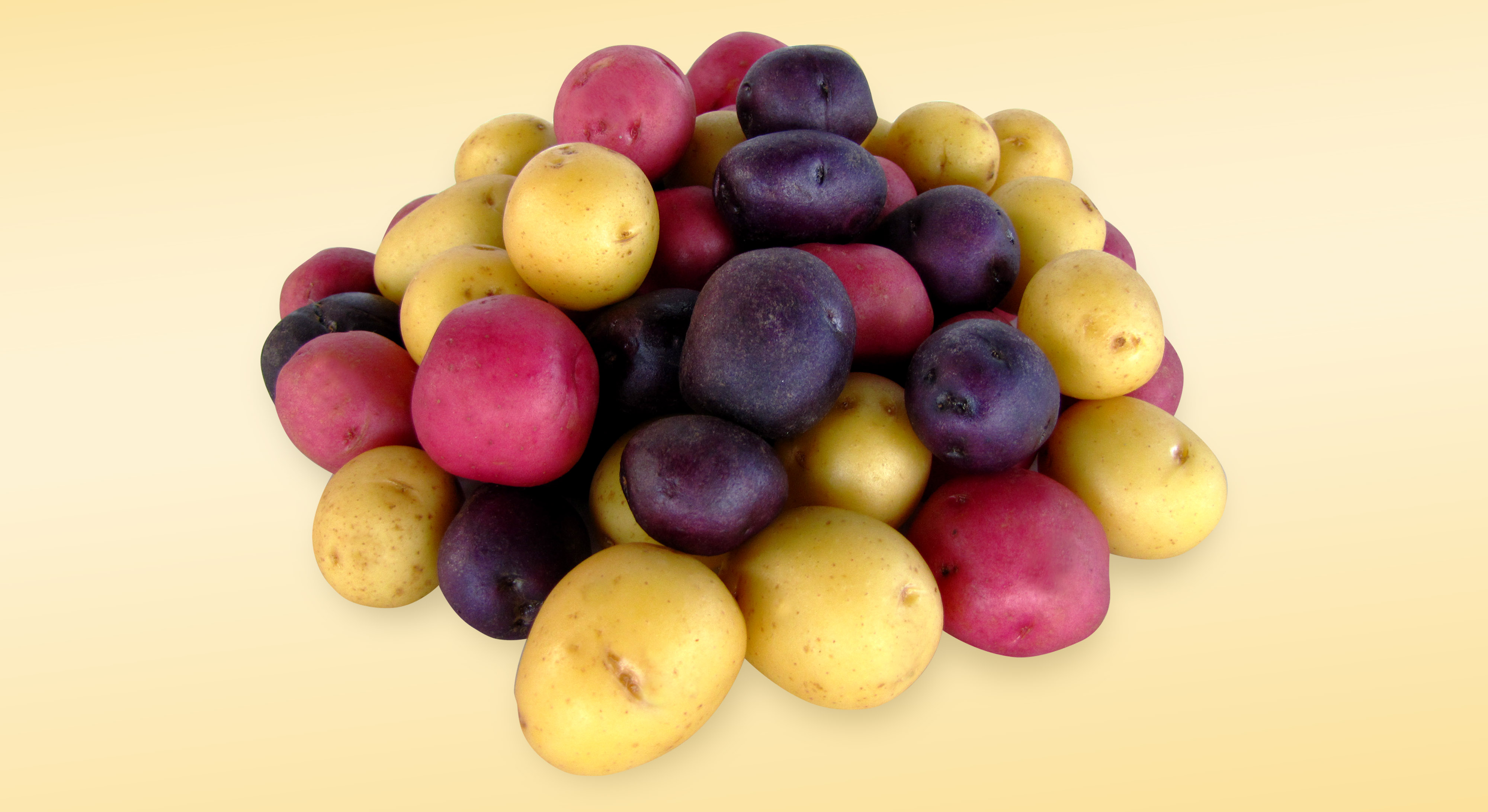 Greater Tater - The original gourmet specialty potato company